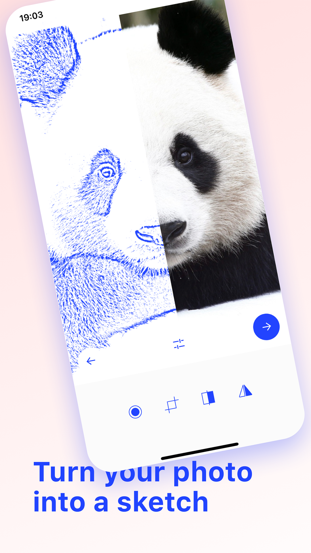 SketchAR: learn how to draw with AR:Amazon.in:Appstore for Android