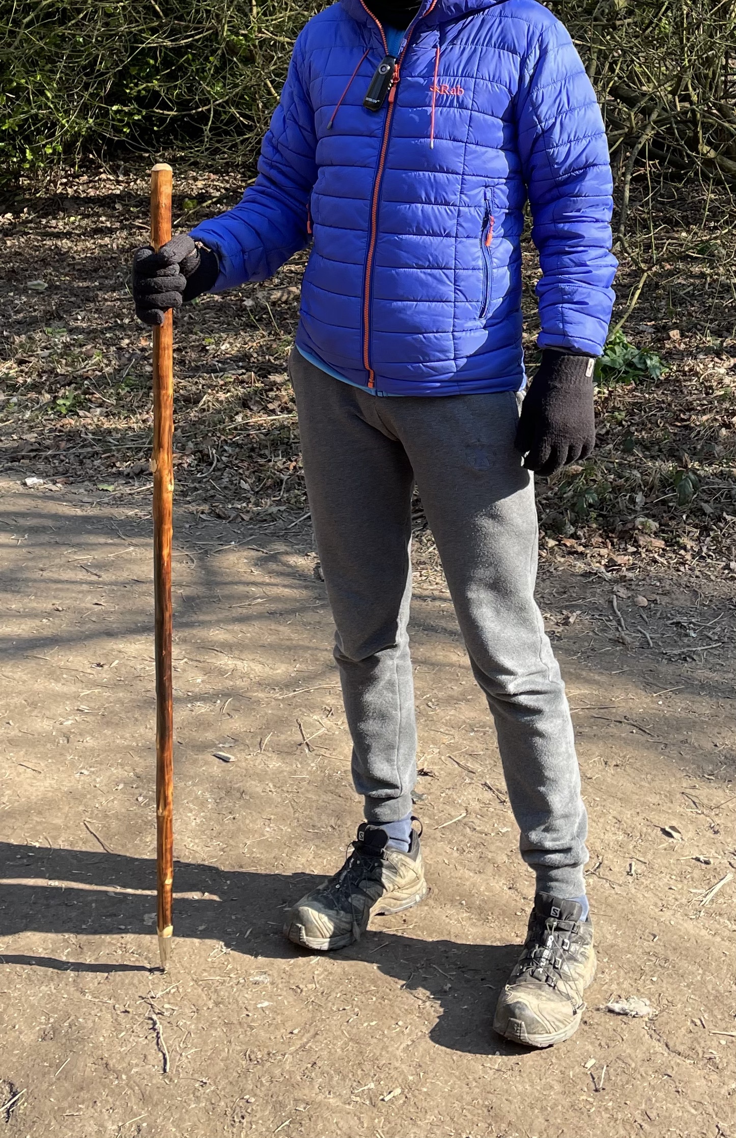 The Walking Stick Company Rustic Hiking Cane Thick Chestnut Wood ...
