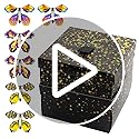 Amazon.com: WUEURU Flying Butterfly Surprise Box Exploding Gifts Box ...