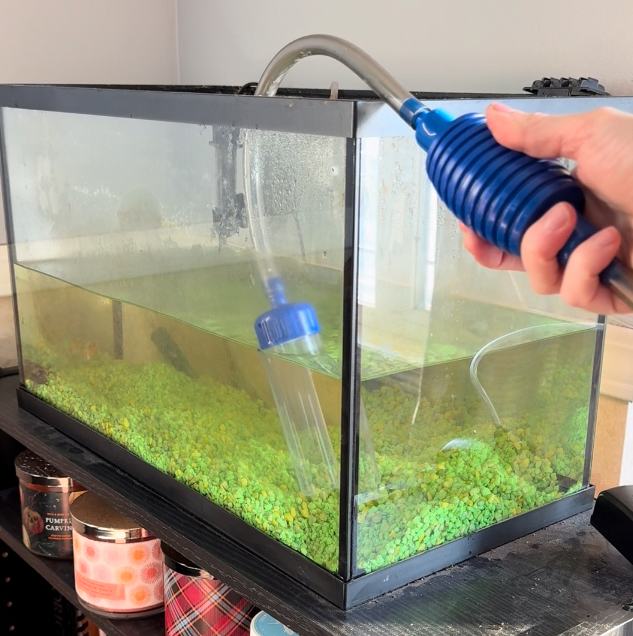 Watch HONEST review of the tetra water cleaner on Amazon Live