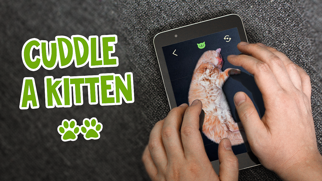 Pat the Cat - App on Amazon Appstore