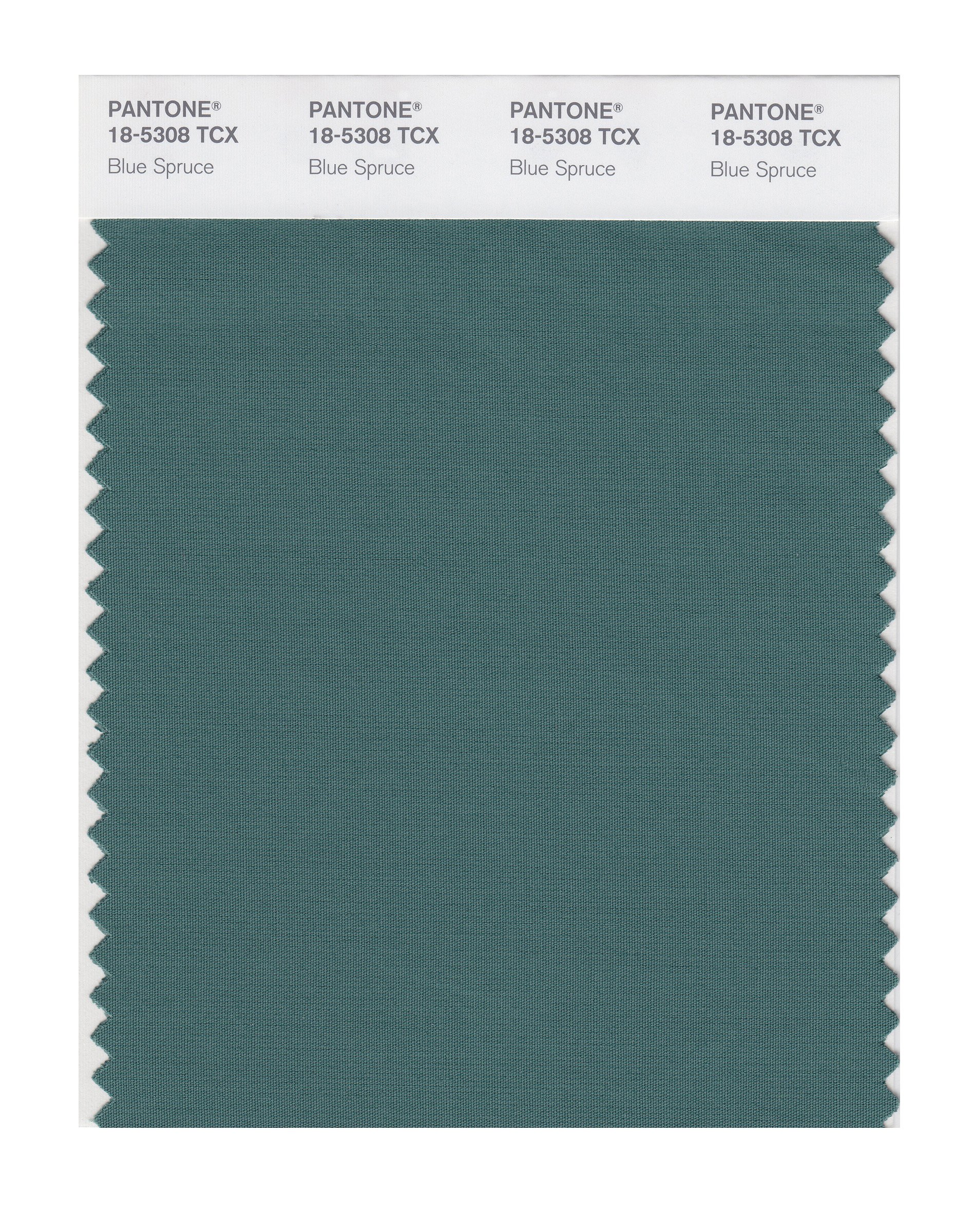 Amazon.com: PANTONE Smart 18-5308X Color Swatch Card, Blue Spruce ...