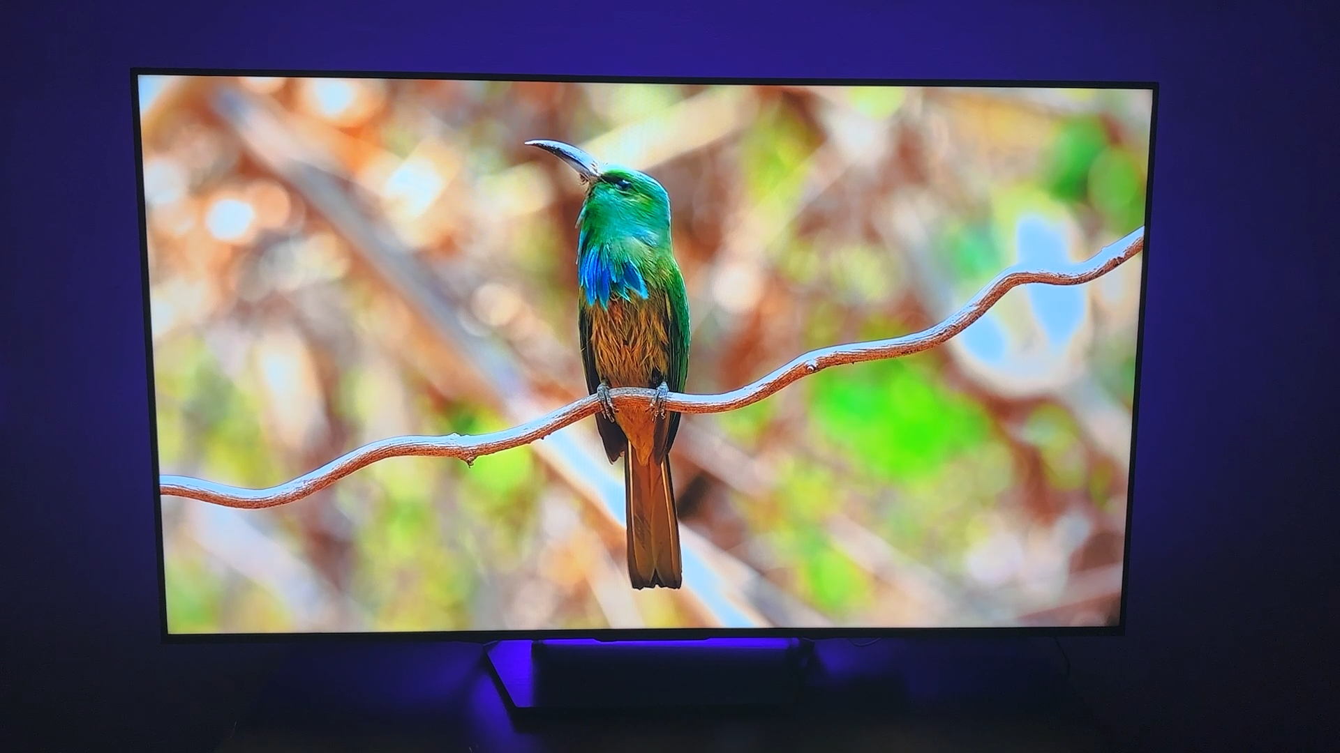 Hisense 164 cm (65 inches) U6N PRO Series 4K Ultra HD Smart QLED Mini ...