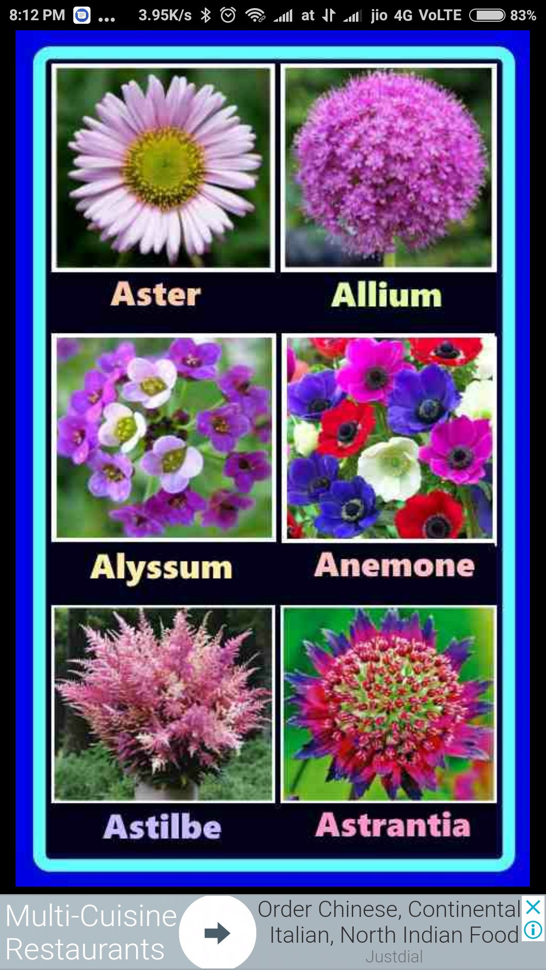 EZ ABC - App on the Amazon Appstore