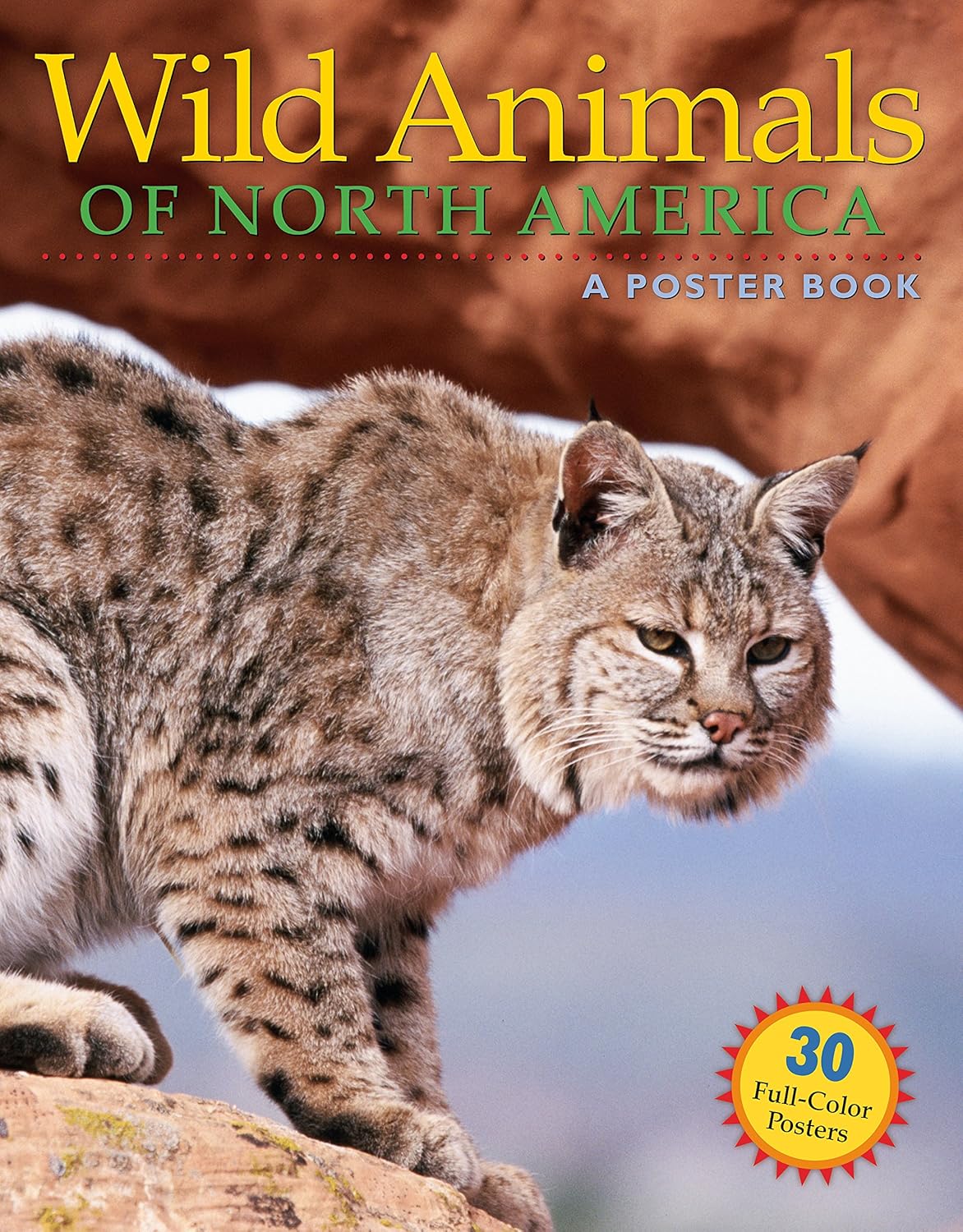 Wild Animals of North America: A Poster Book : Meyer, Karl: Amazon.co ...
