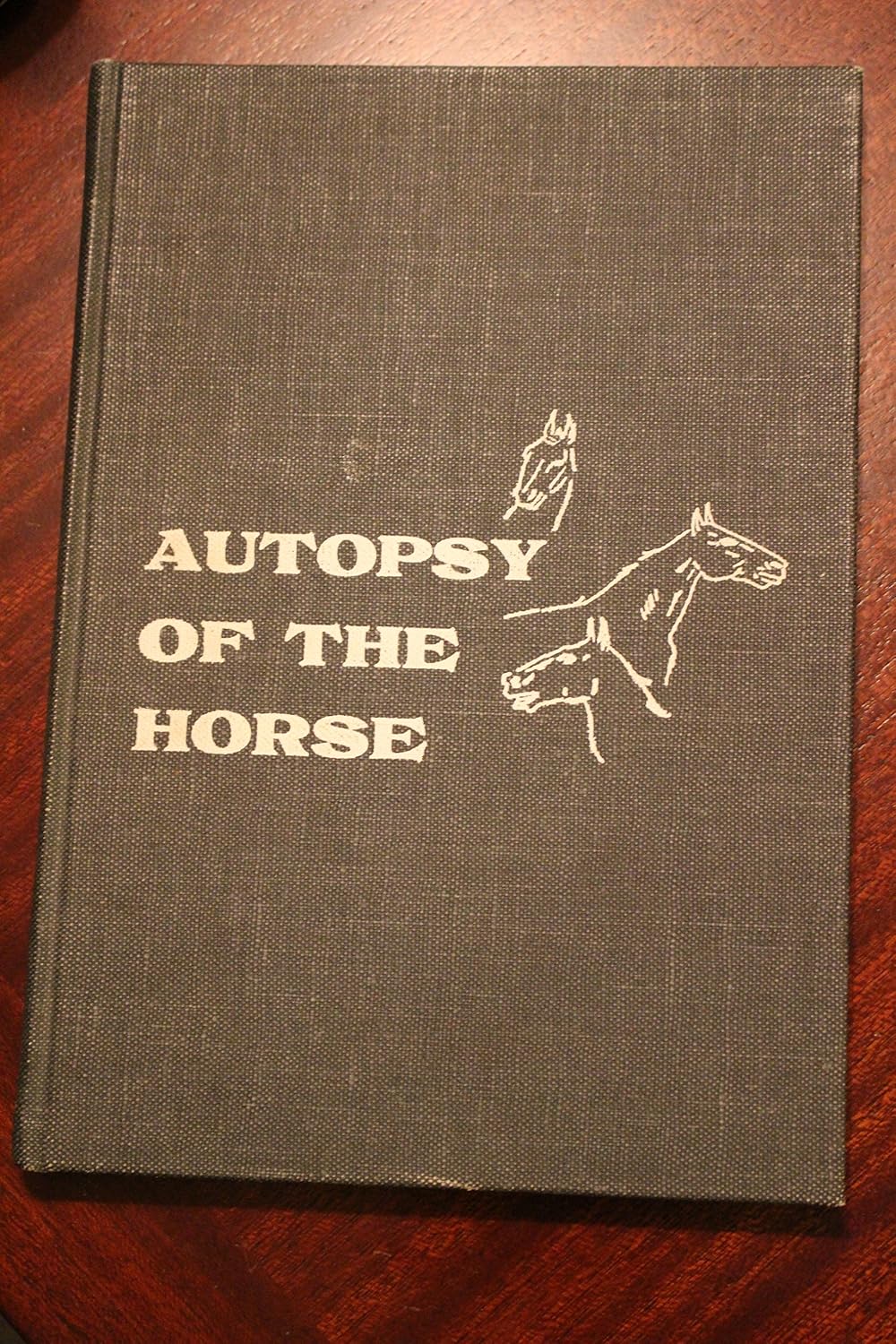 Amazon | Autopsy of the Horse: Technique and Interpretation | Rooney ...