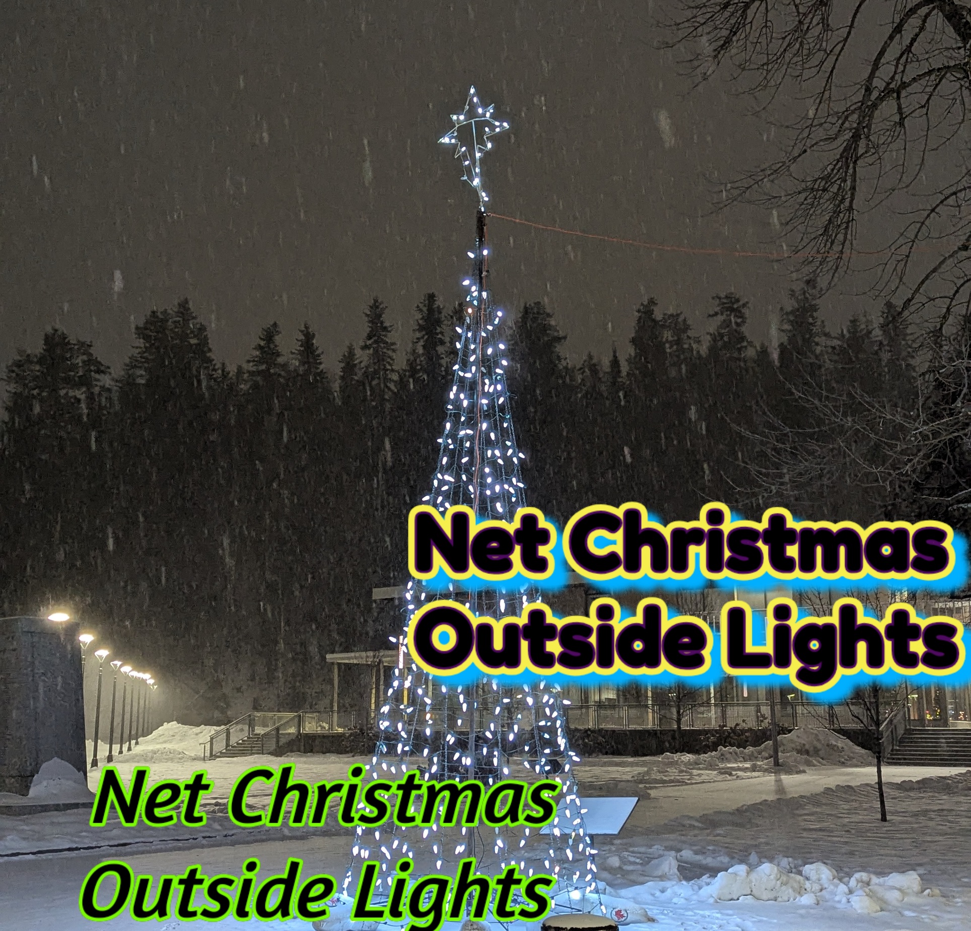 Watch Christmas Cone Net Tree Lights Review on Amazon Live