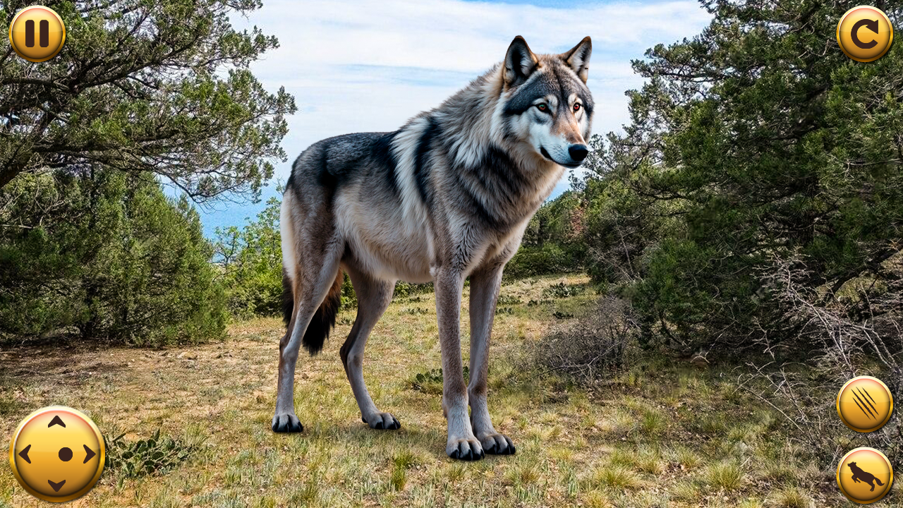 Wolf Simulator Game the Hunting Wolf Animal Games - App on Amazon Appstore