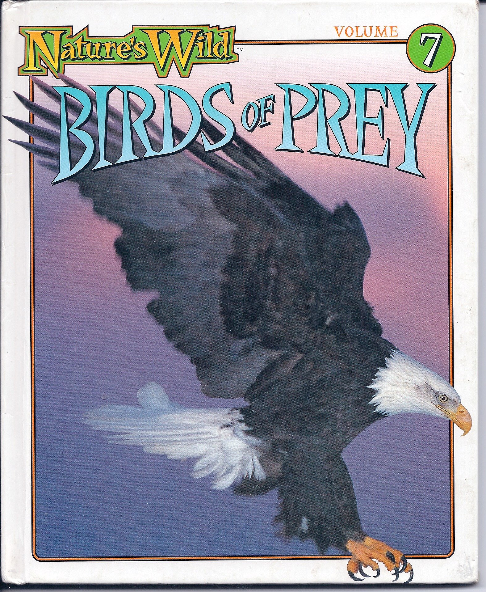 Birds of prey (Nature's wild): Grambo, Rebecca L: Amazon.com: Books
