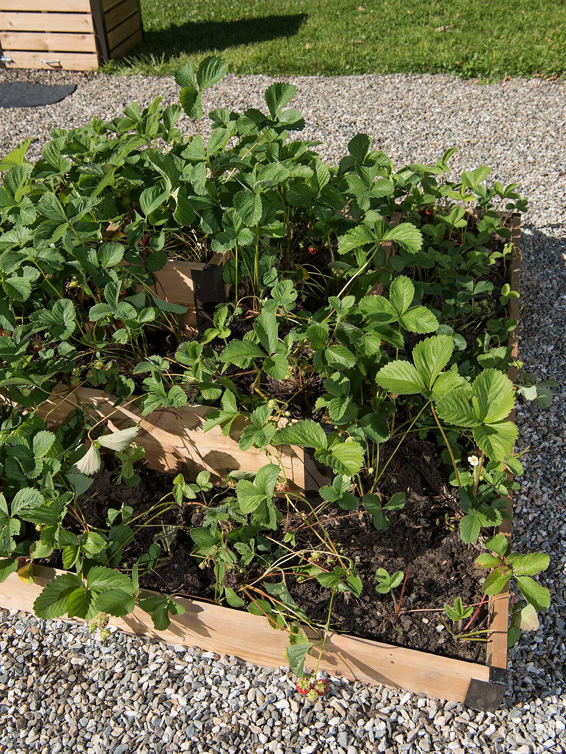 Strawberry Raised Bed Design DIY Strawberry Gutter Garden Ali Ish