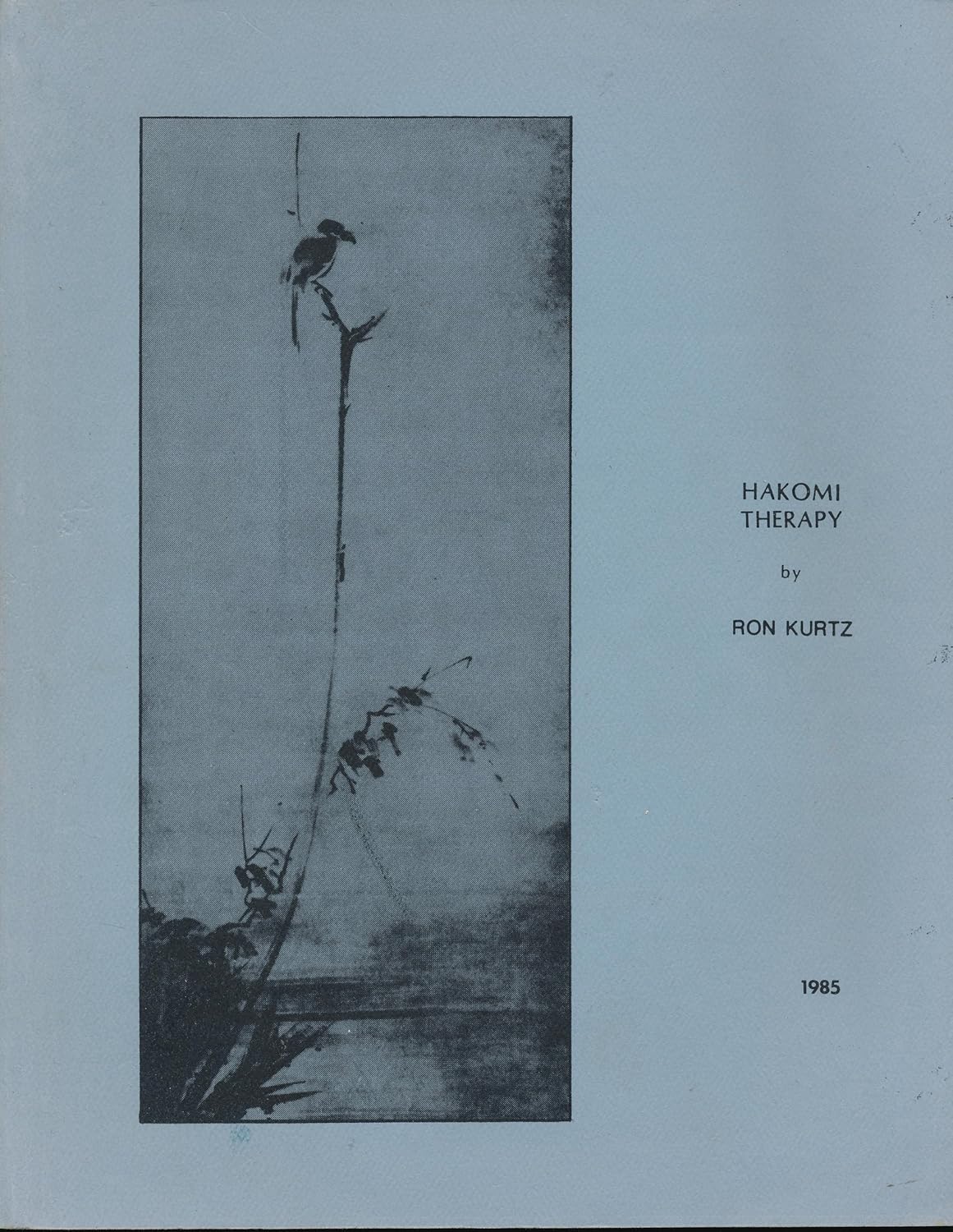 Hakomi Therapy: Kurtz, Ron: Amazon.com: Books