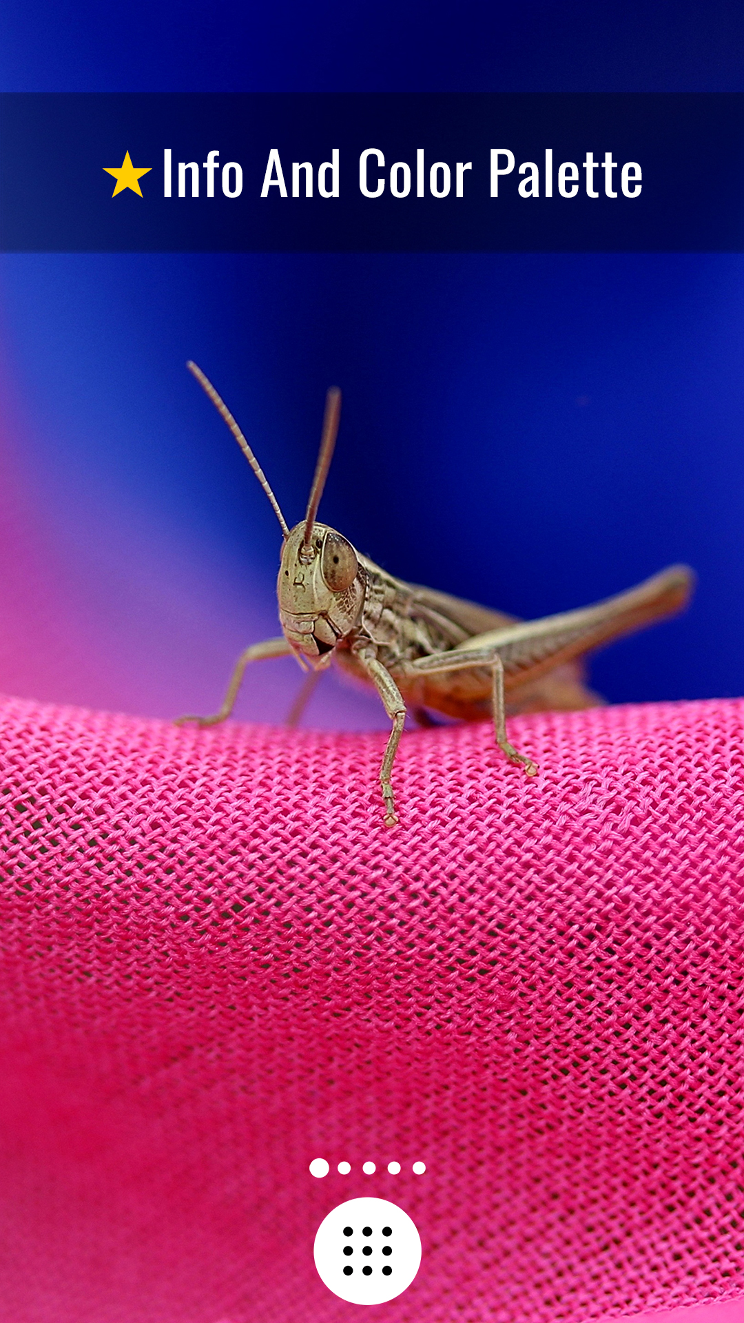 Macro Wallpapers - App on Amazon Appstore