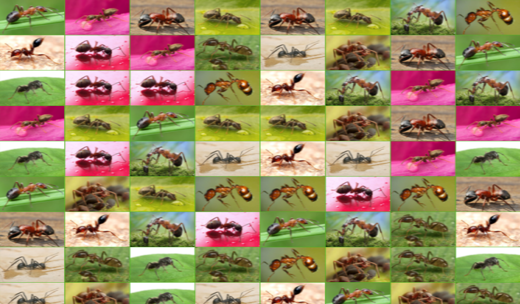 Ants Puzzle - App on Amazon Appstore