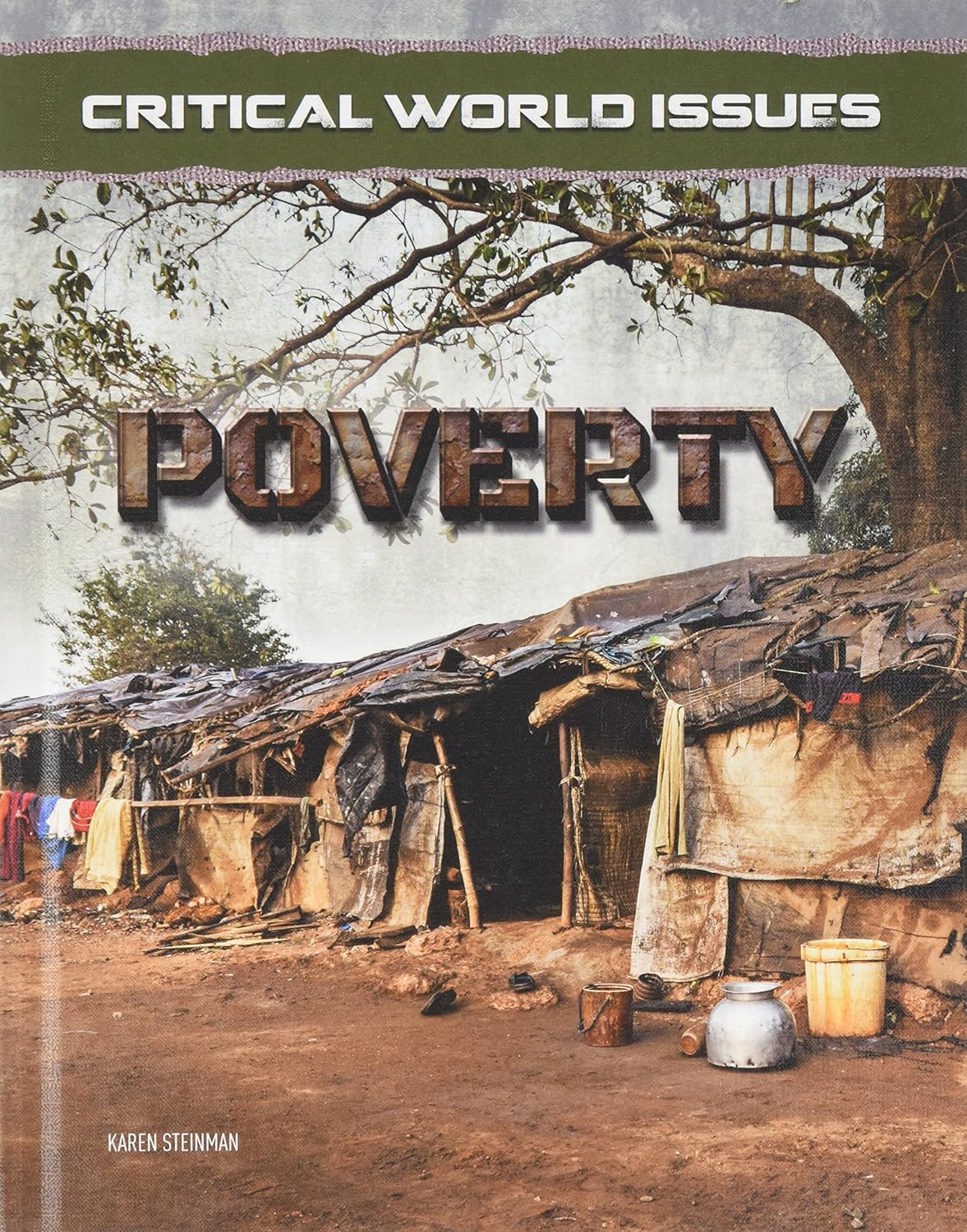 Amazon.com: Poverty (Critical World Issues): 9781422236581: Steinman ...