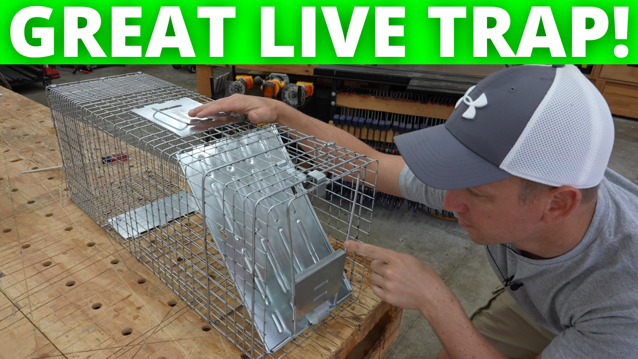 Watch Best Live Trap? - Havahart Large Live Trap Review & Demo on ...