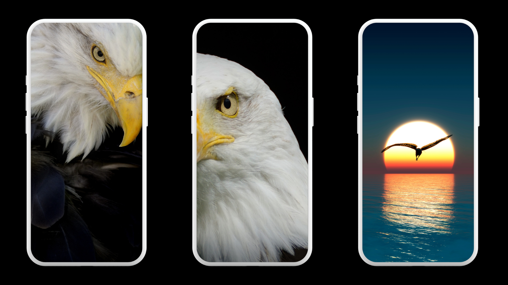 Eagle Wallpapers - App on Amazon Appstore