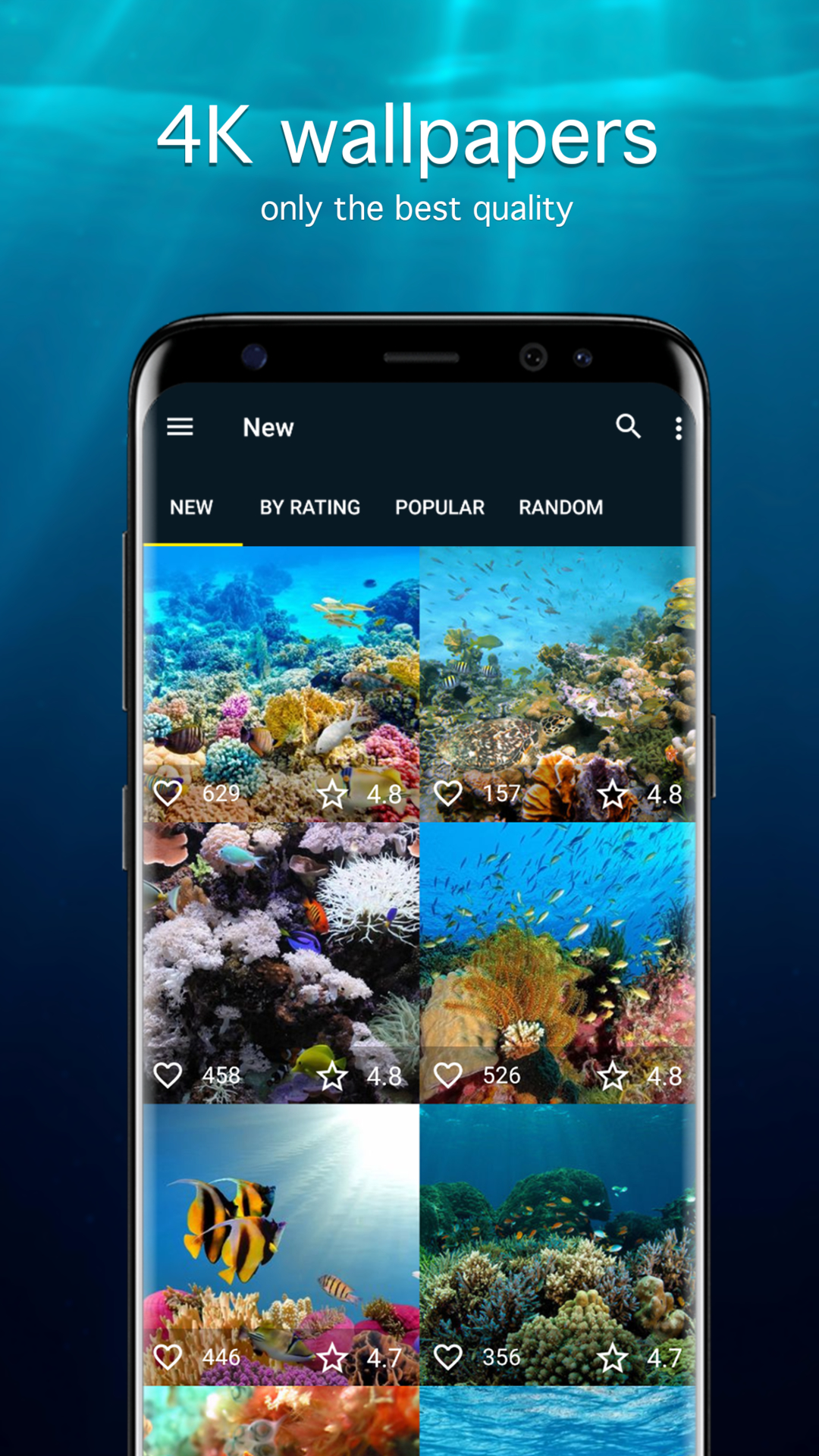 Fish Wallpapers and Backgrounds apps 4k - App on Amazon Appstore