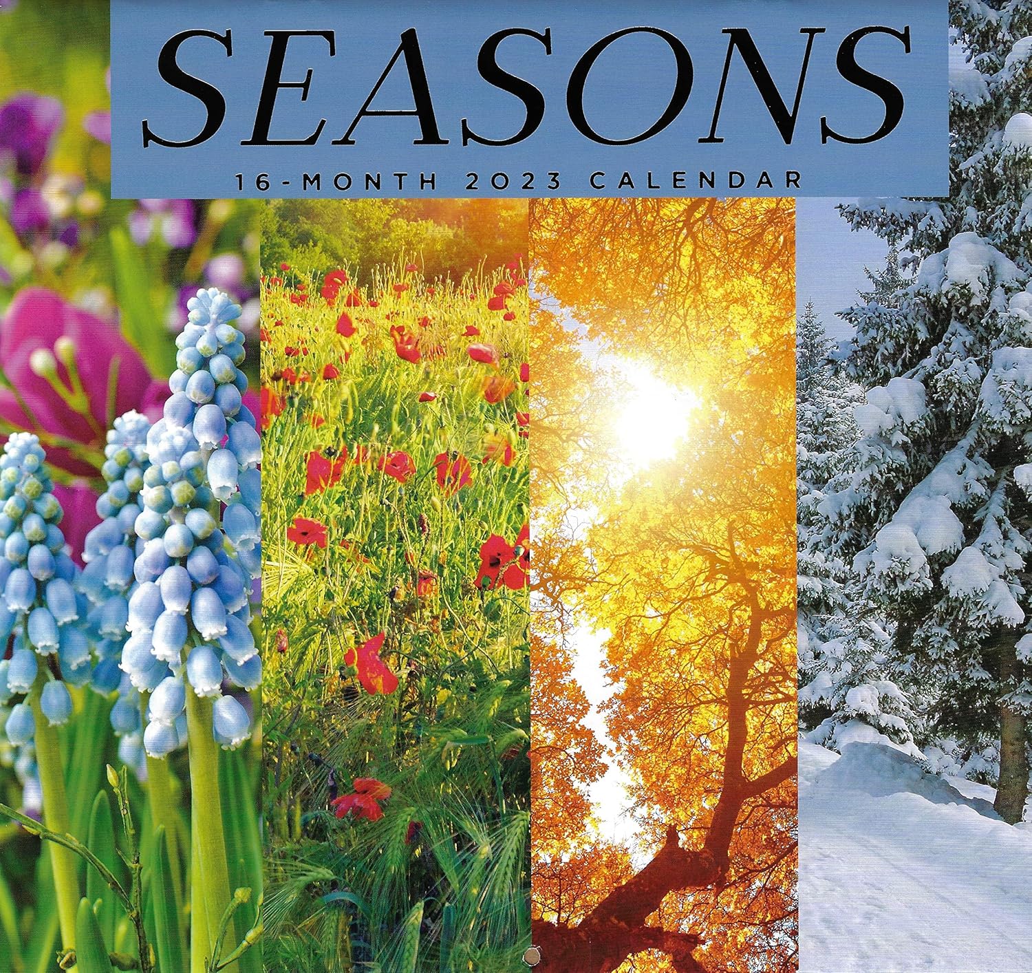 Amazon.com: 2023 Seasons Full Size Wall Calendar for Planning ...