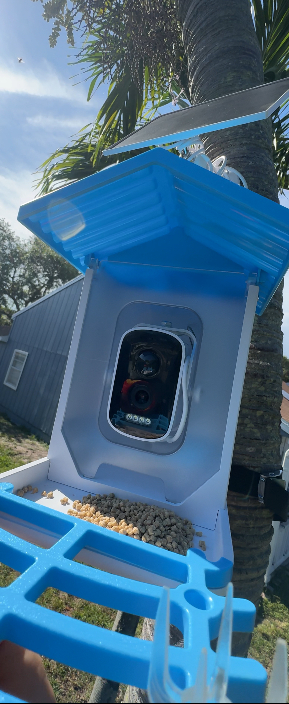 Watch Smart bird feeder camera with instant arrival alerts on Amazon Live