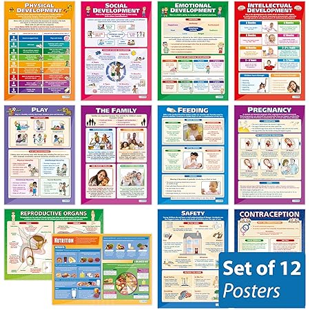 Amazon.com: Child Development Posters – Set of 12 – Gloss Paper – 33” x ...