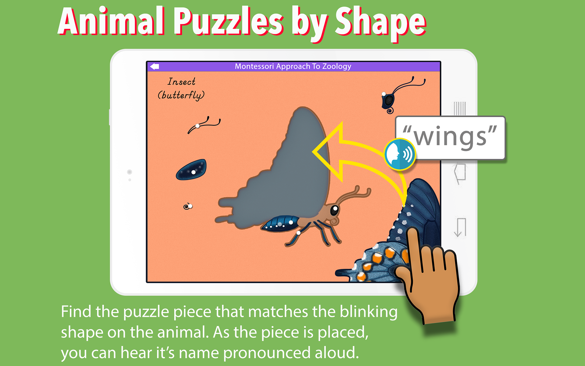 Montessori Zoology - Parts of Animals - Invertebrates - App on Amazon ...