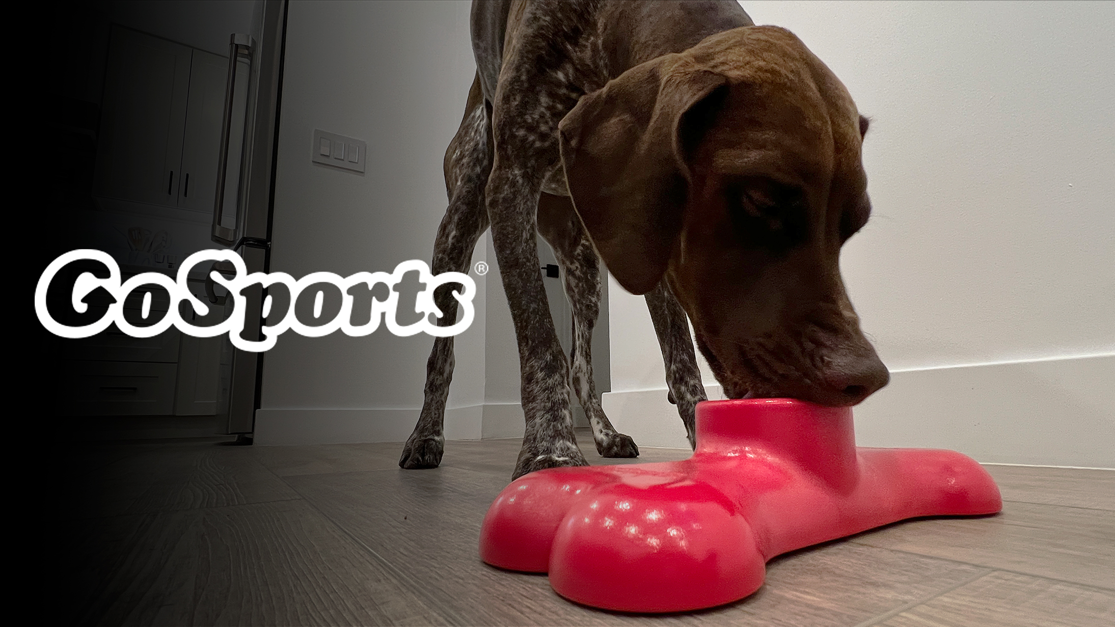 Watch GoSports Pets PupsCream Parlor - Dog Ice Cream Holder on Amazon Live
