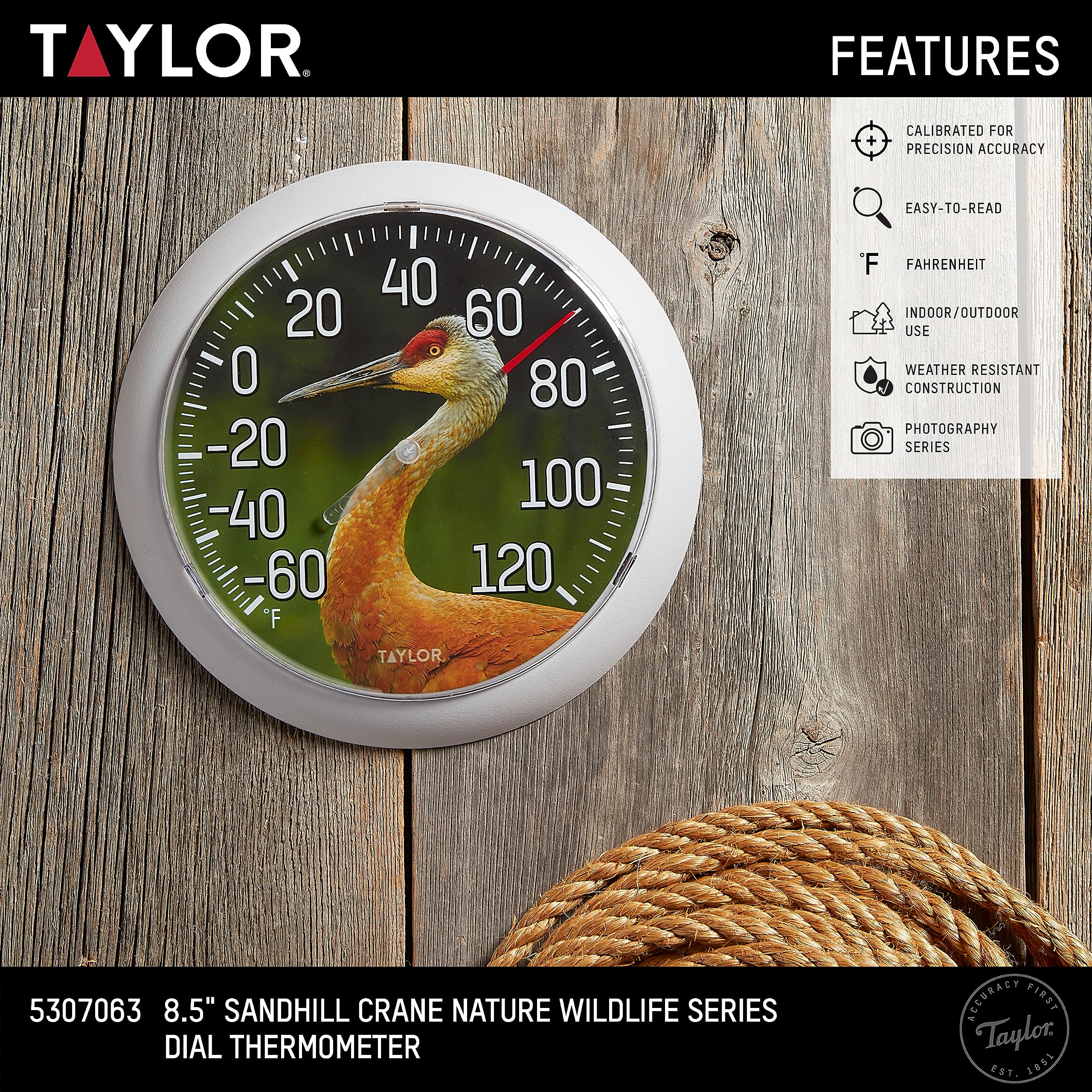 Snapklik.com : Taylor Nature Series Sandhill Crane Indoor Outdoor Dial ...