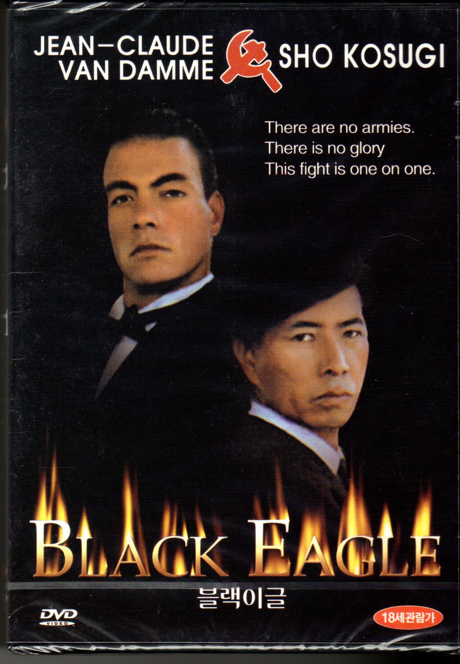 Amazon.com: Black Eagle DVD : Sho Kosugi, Jean-Claude Van Damme, Doran ...