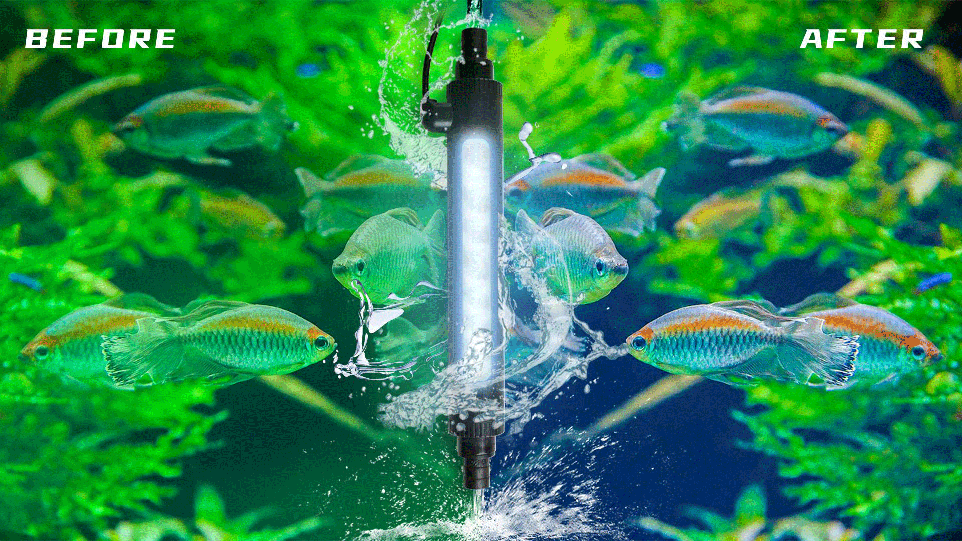 Watch coospider-repta Aquarium Light - UV Lamp on Amazon Live