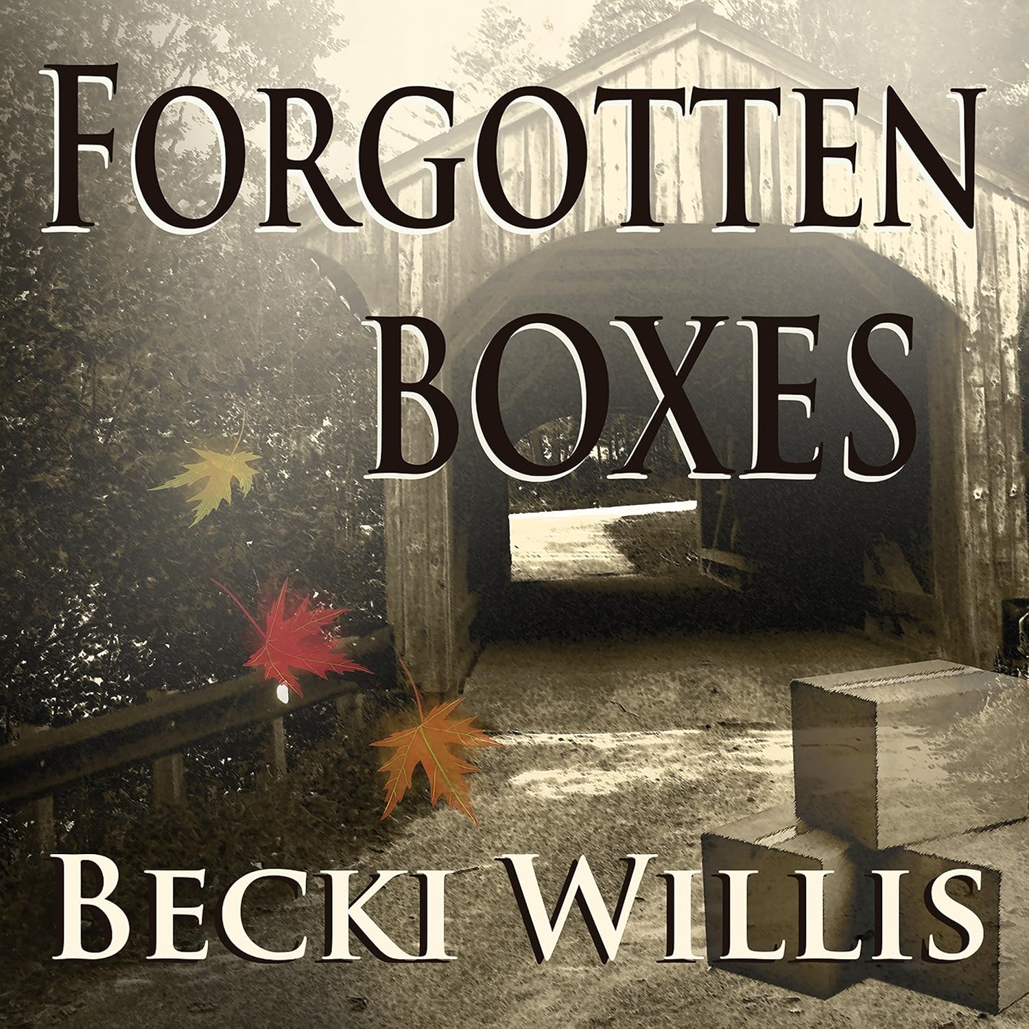 Amazon.com: Forgotten Boxes (Audible Audio Edition): Becki Willis ...