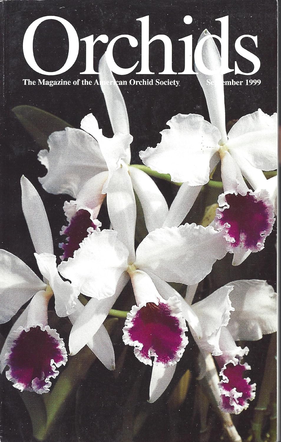 Orchids Magazine - The Bulletin of the American Orchid Society ...