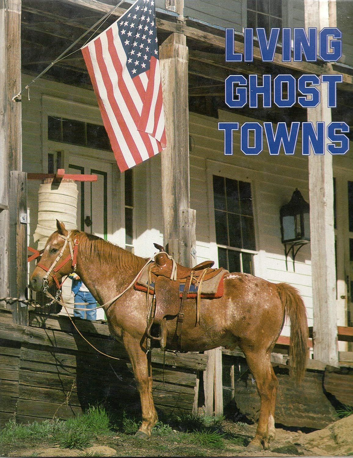 Living Ghost Towns: Rh Value Publishing: 9780517478134: Amazon.com: Books