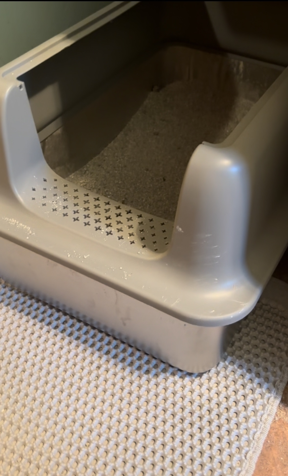 Watch Perfect box to prevent litter tracking and smell! on Amazon Live