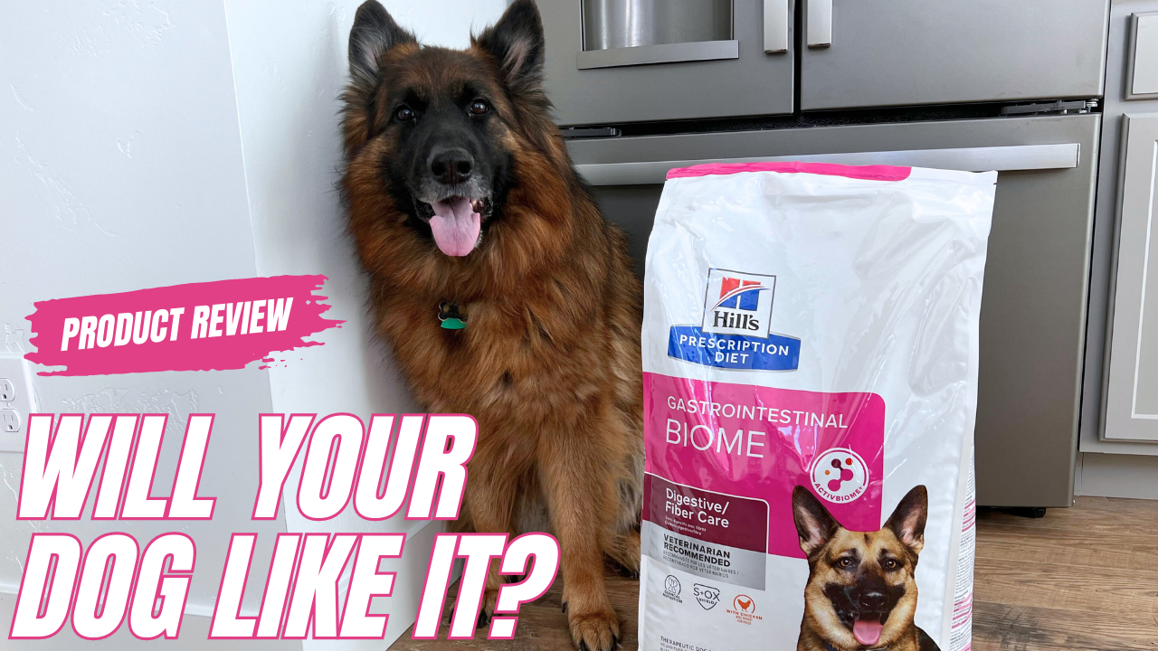 Watch Used This For 4 Years! - Gastrointestinal Biome Dog Food! on ...
