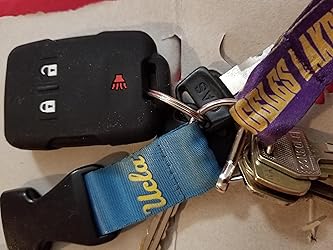 Amazon.com: KeyGuardz Keyless Entry Remote Car Smart Key Fob Outer ...