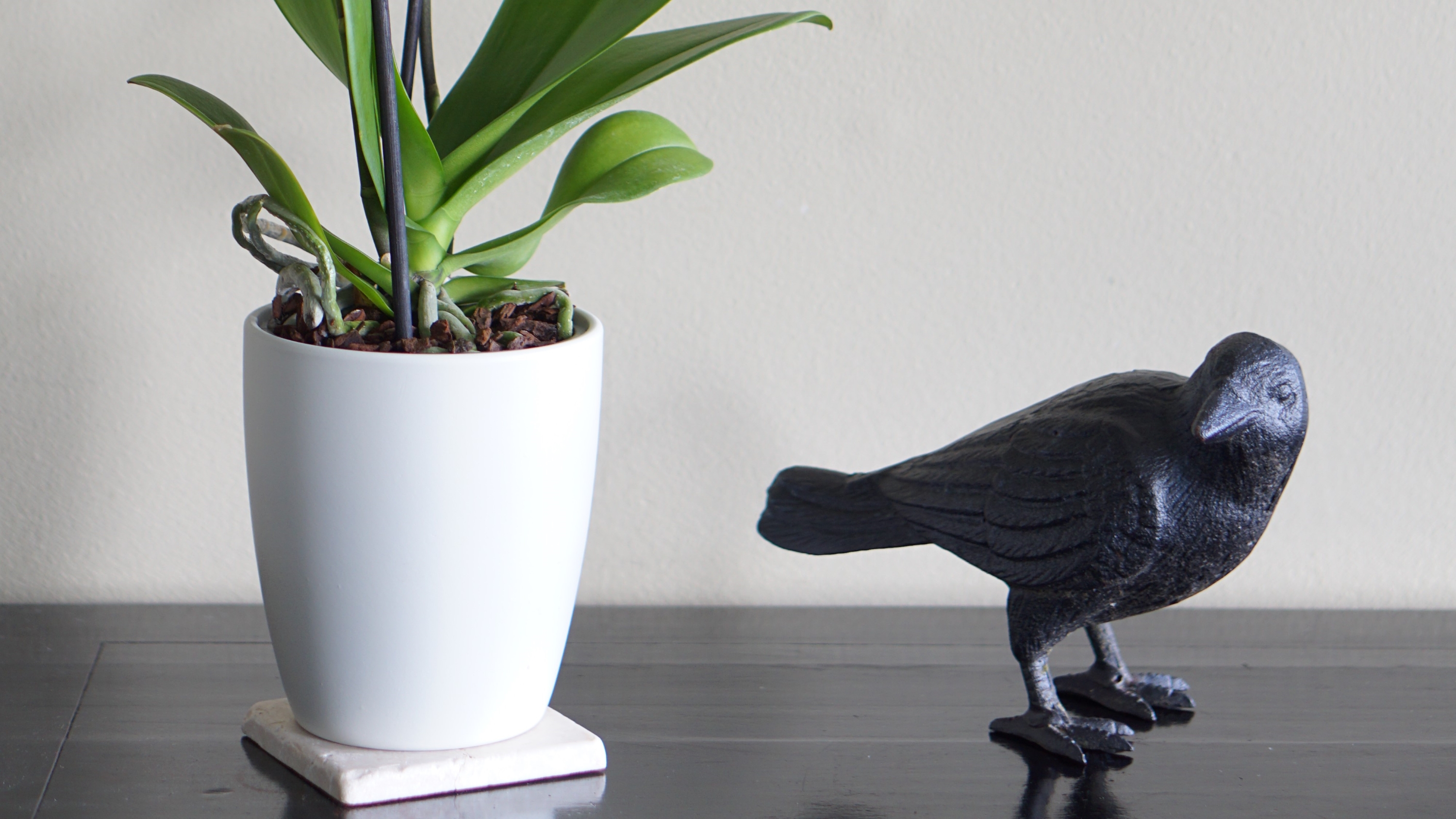 Watch NACH JS-90-7115 Decorative Cast Iron Crow with Head to Side on ...