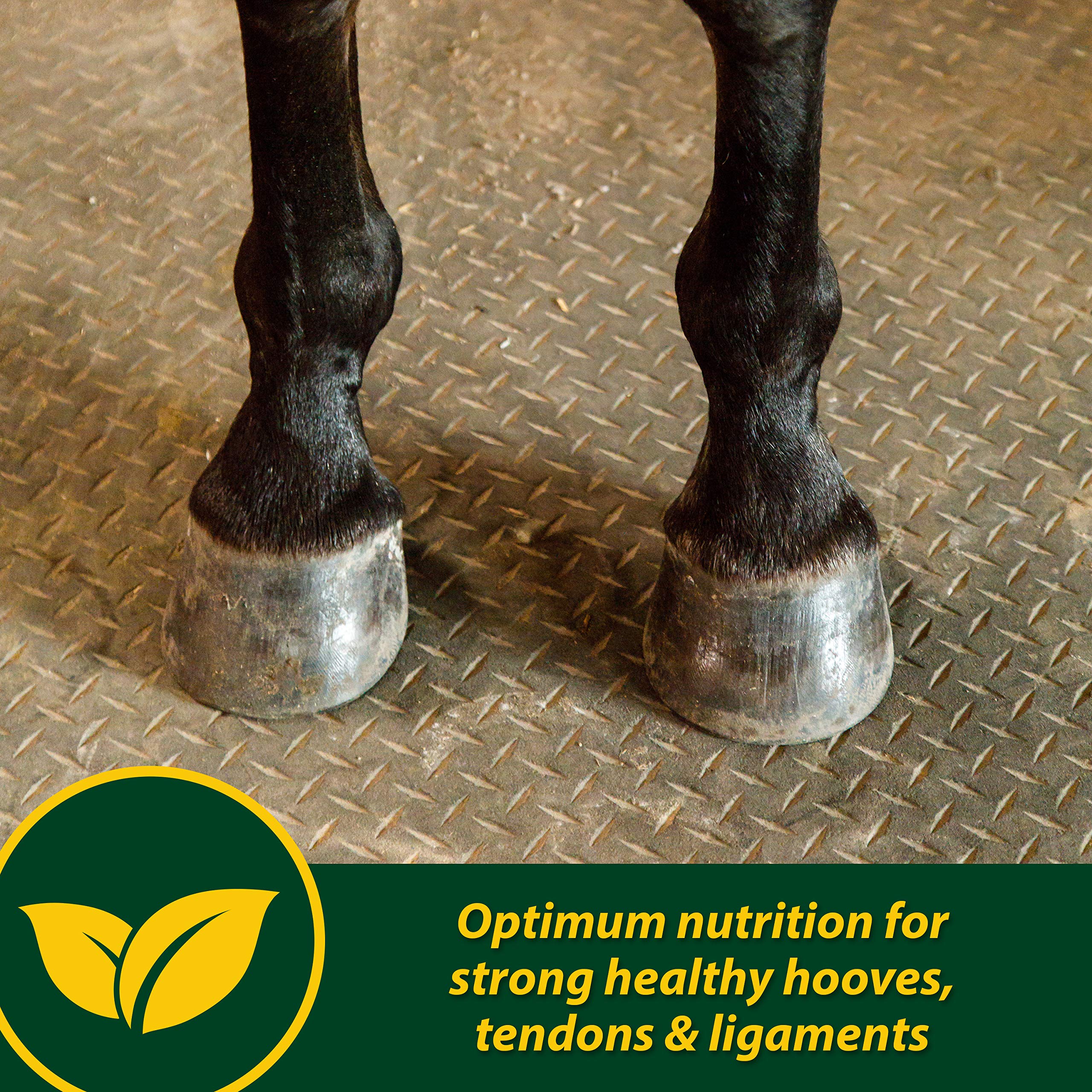 Farnam Horseshoer's Secret Extra Strength Hoof Supplements & Connective ...