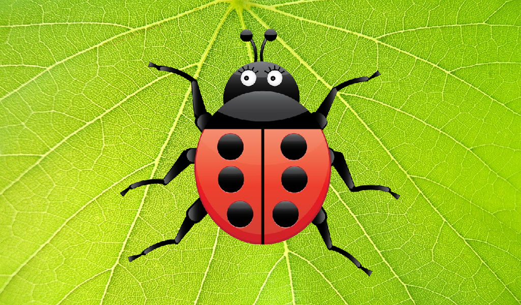 Ladybug Count - App on Amazon Appstore