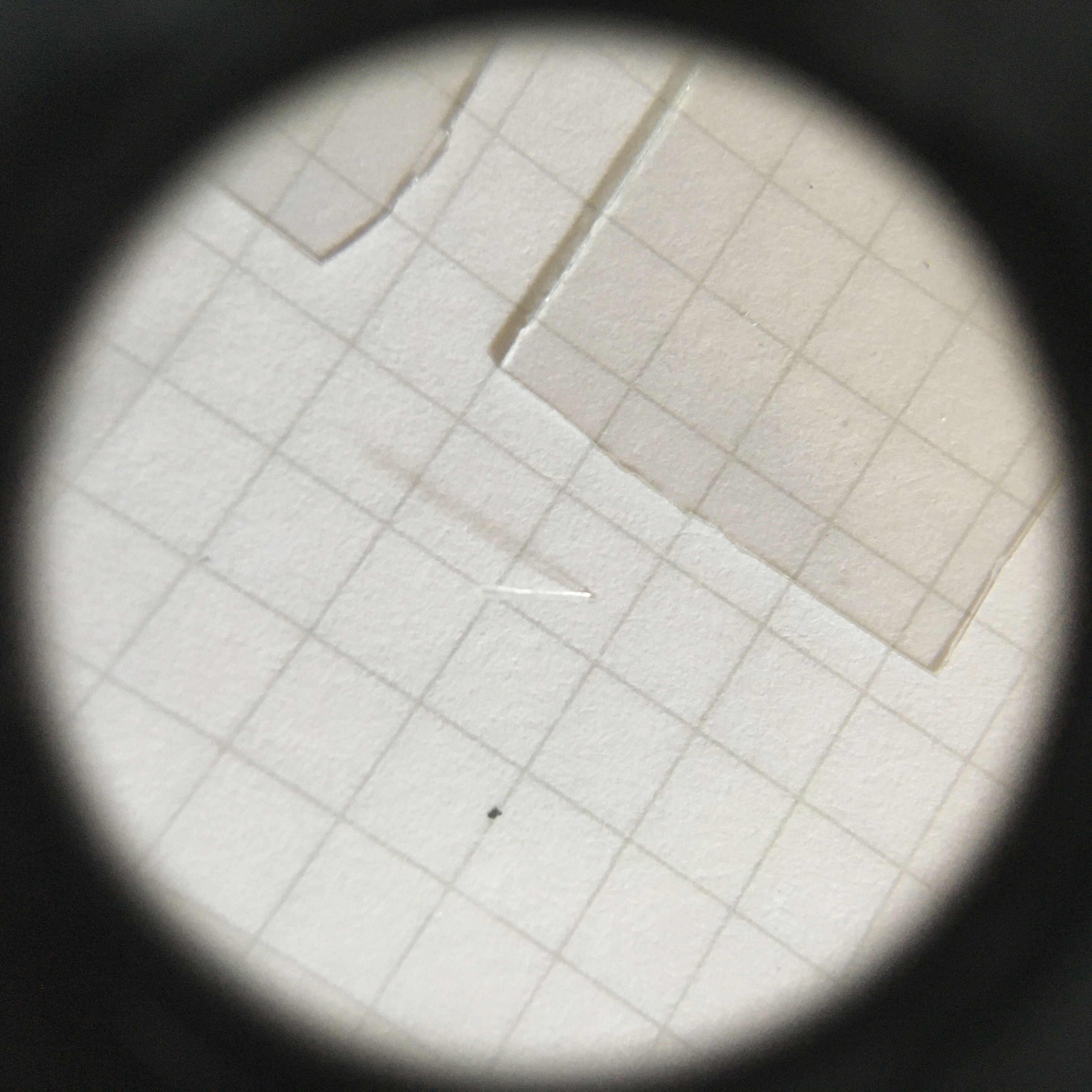 Microscope Slide Cover Slips 22x22mm (Pack of 100) : Amazon.in ...