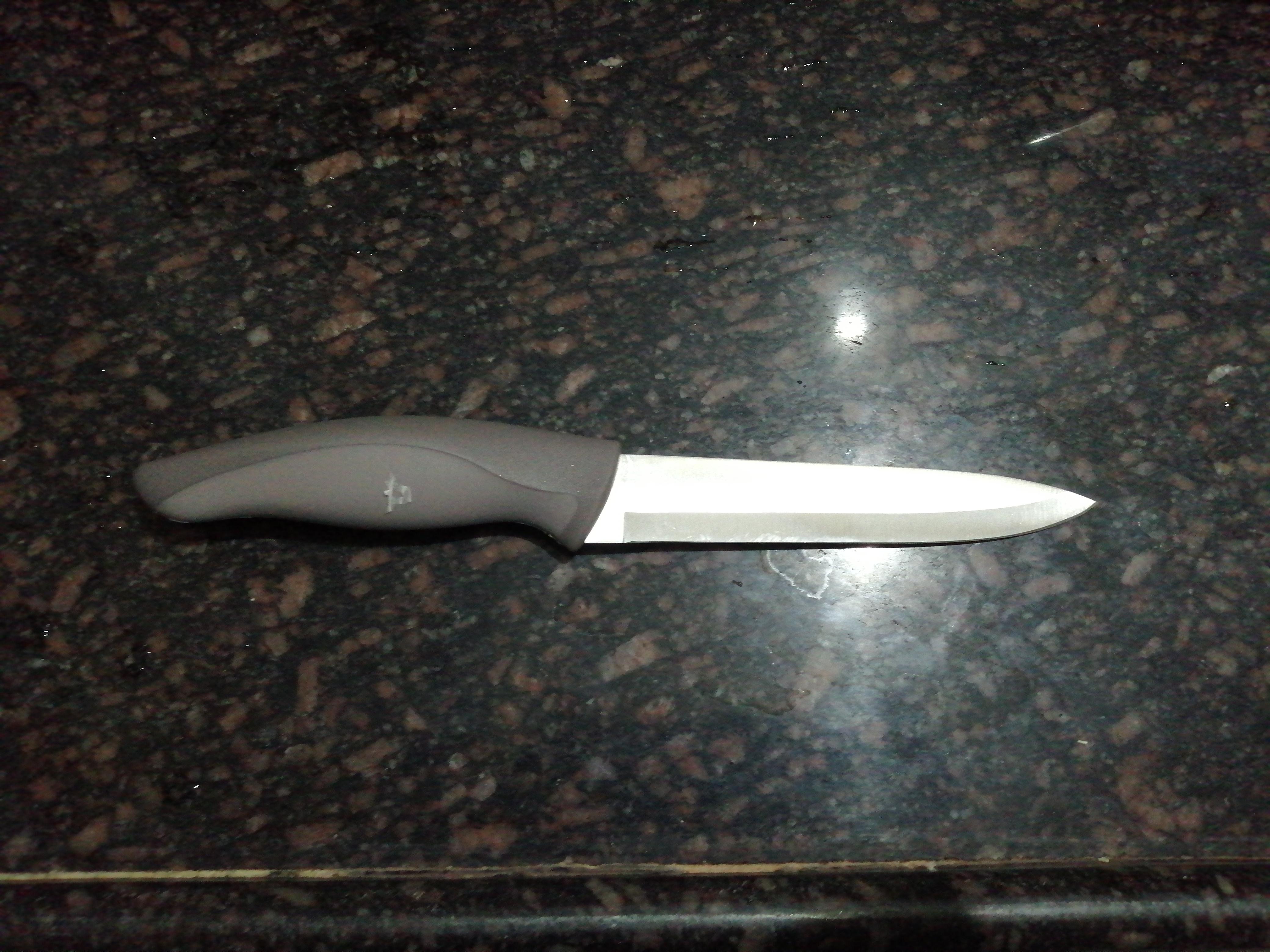 Buy Meyer Stainless Steel 12 cm Utility Knife Online at Low Prices in ...