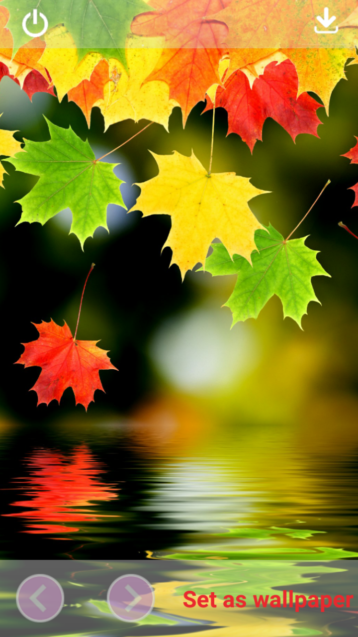 Wallpapers and Backgrounds - App on Amazon Appstore