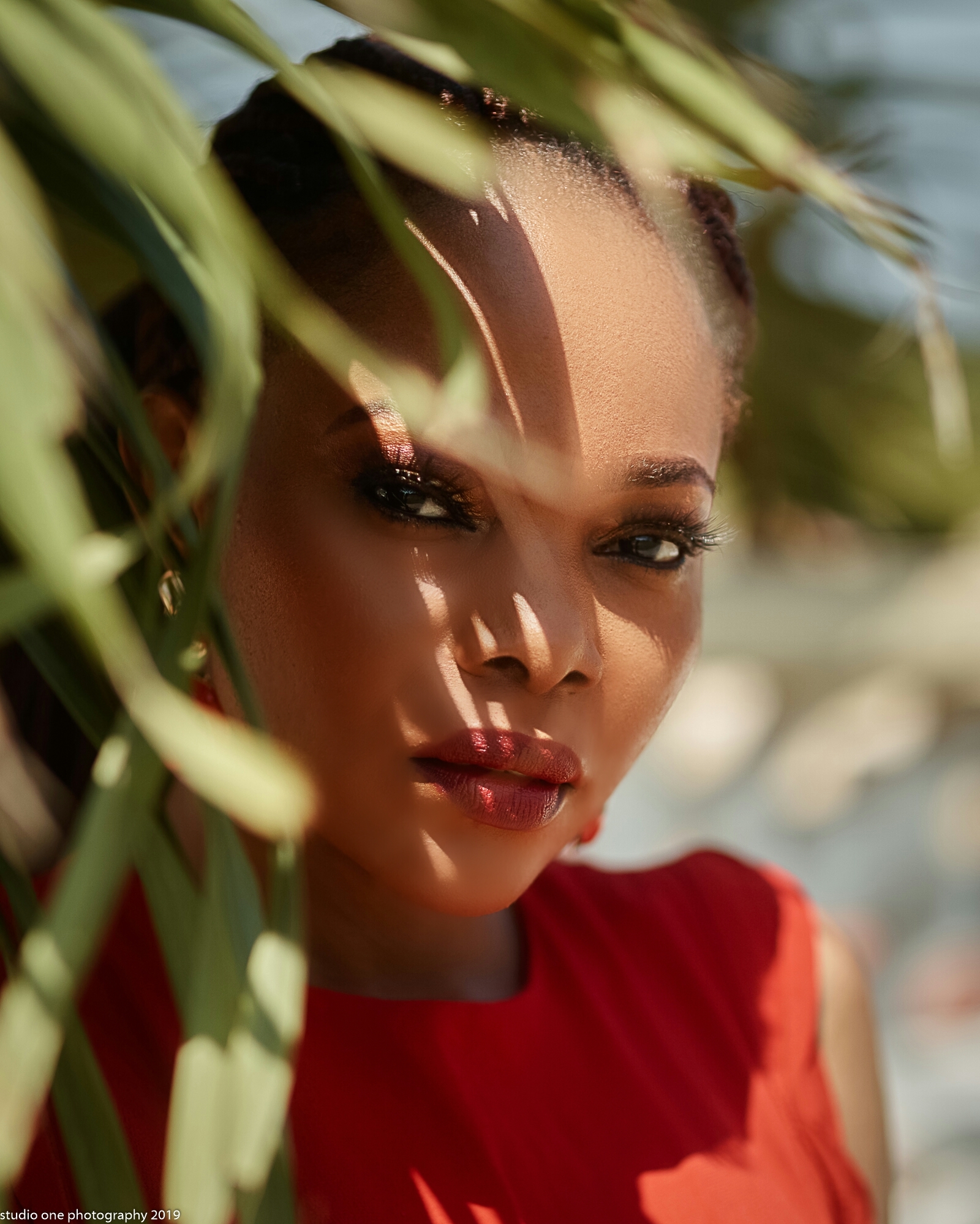 Amazon.com: Sephora Moses: books, biography, latest update