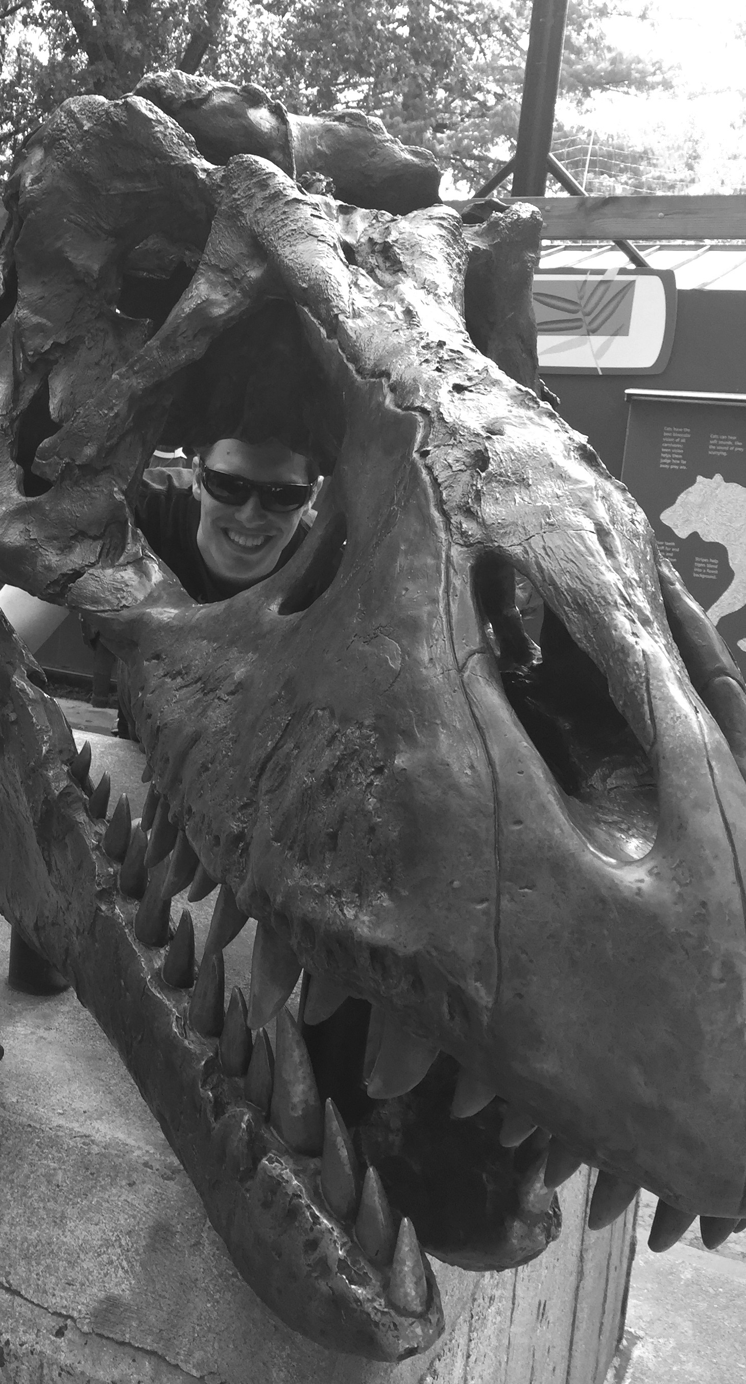 Amazon.com: Jurassic: 9781591522034: Rechlin, Ted: Books