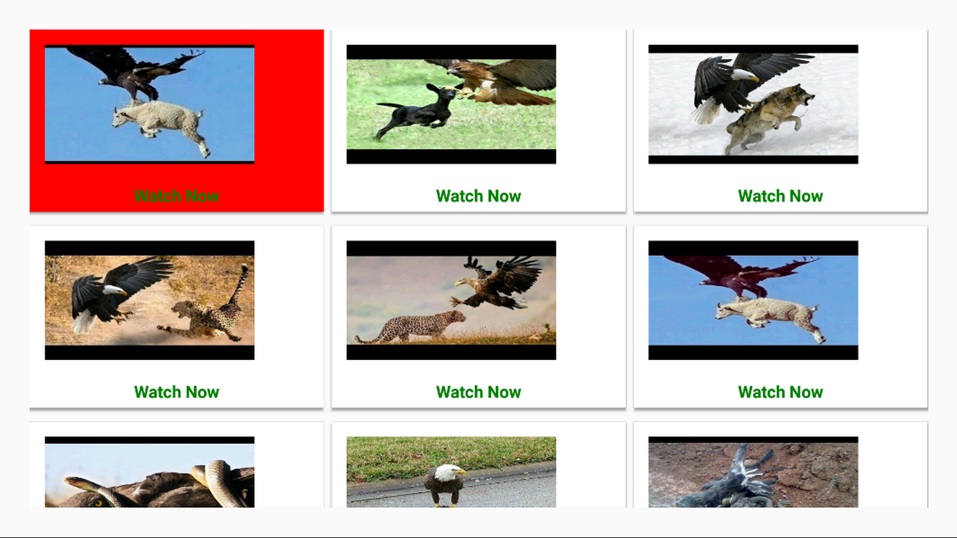 The WildLife HD - App on Amazon Appstore