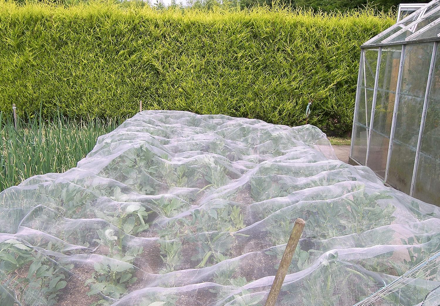 Agralan Enviromesh Fine Insect Garden Allotment Vegetable Netting Mesh ...