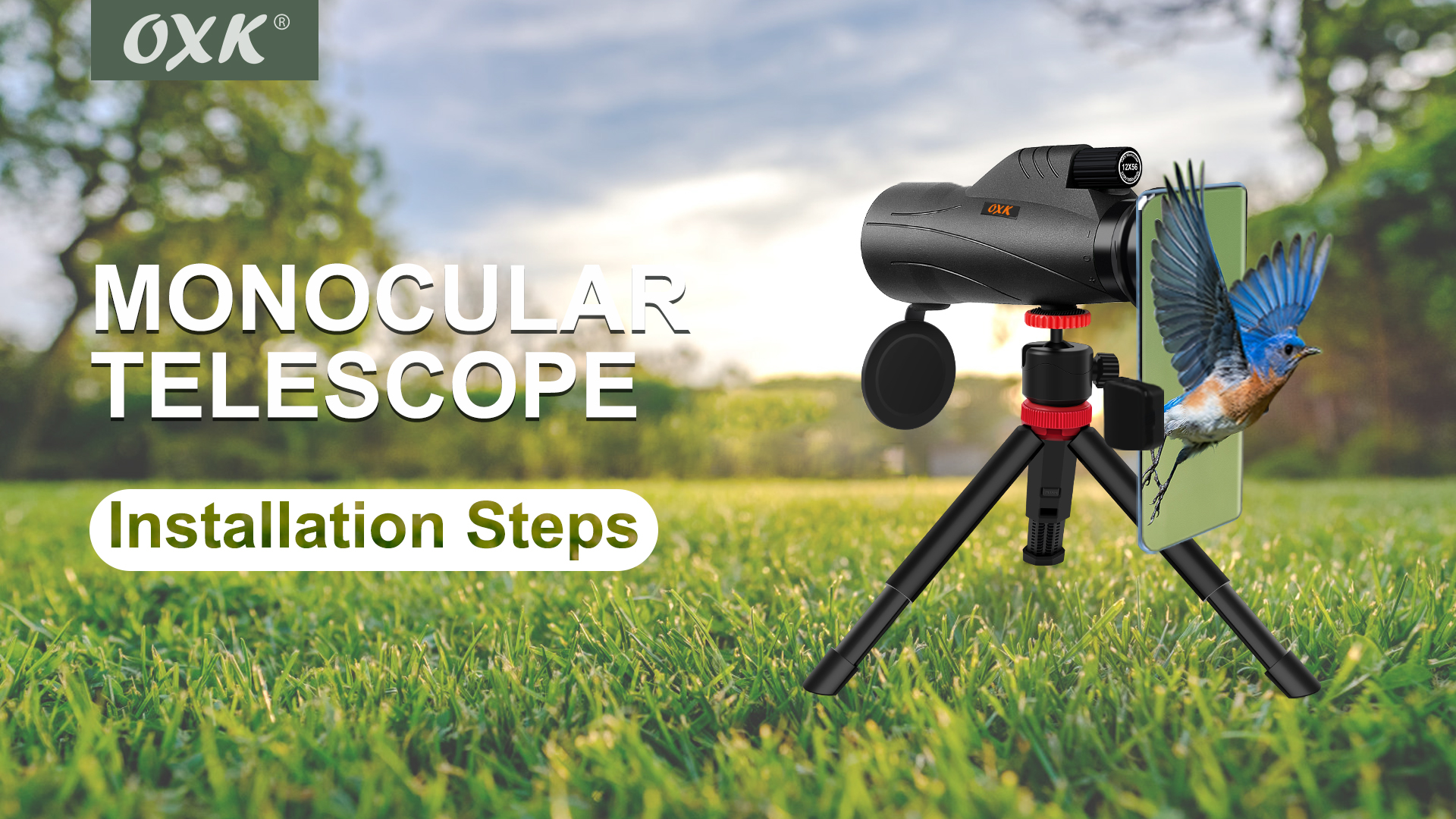 Watch 12X56 HD Monocular Telescope with Smartphone on Amazon Live
