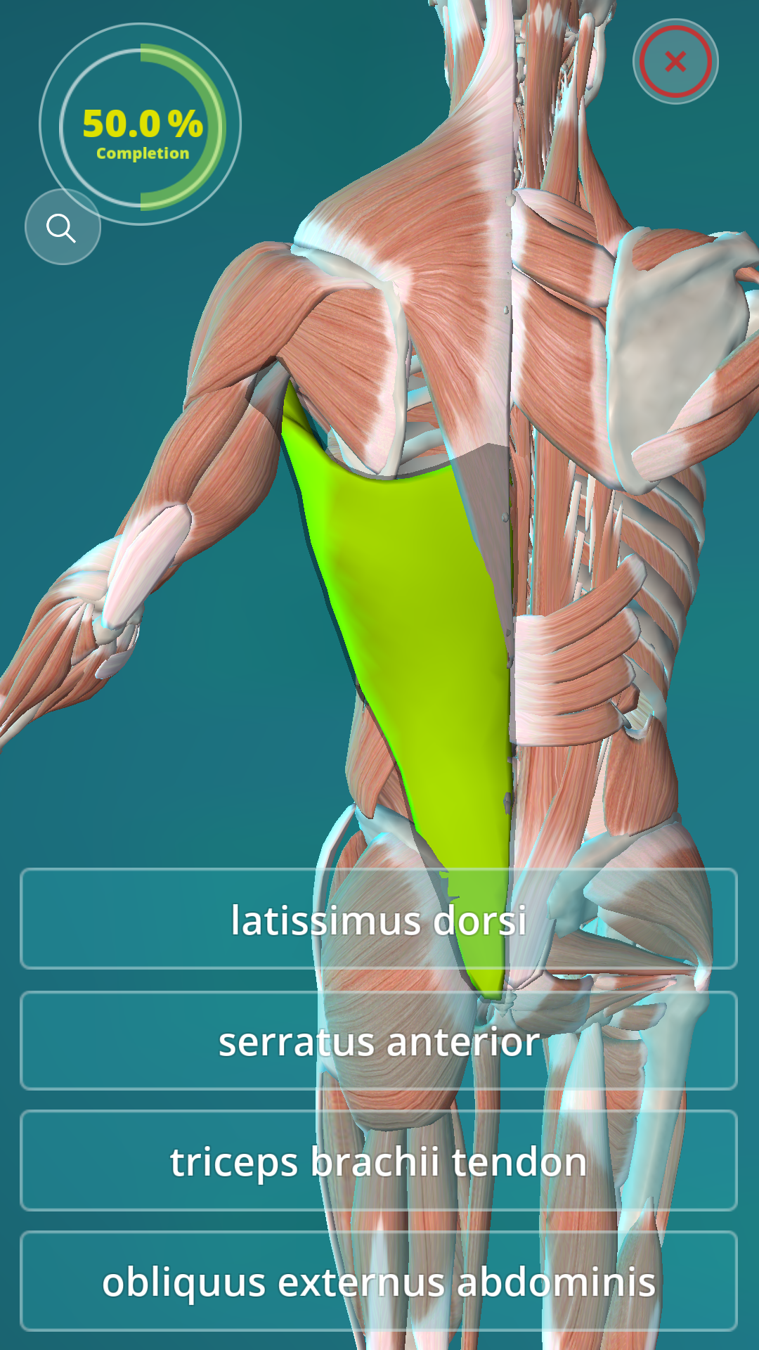 Aplicación Anatomy Quiz - muscles and bones en Amazon Appstore