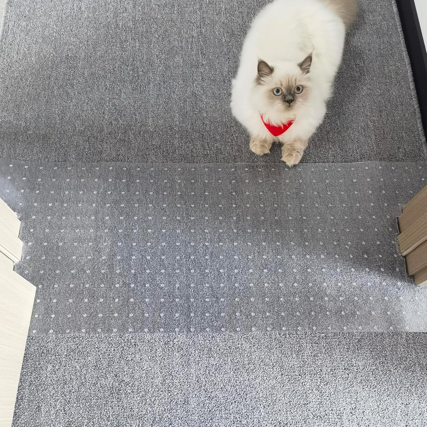 Amazon.com : Carpet Protector for Pets,Cat Scratch Carpet Protector for ...