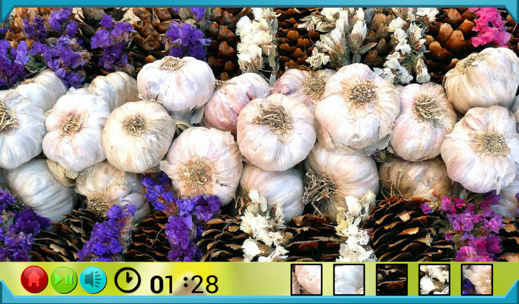 Hidden Object - Close Up Lense - App on Amazon Appstore