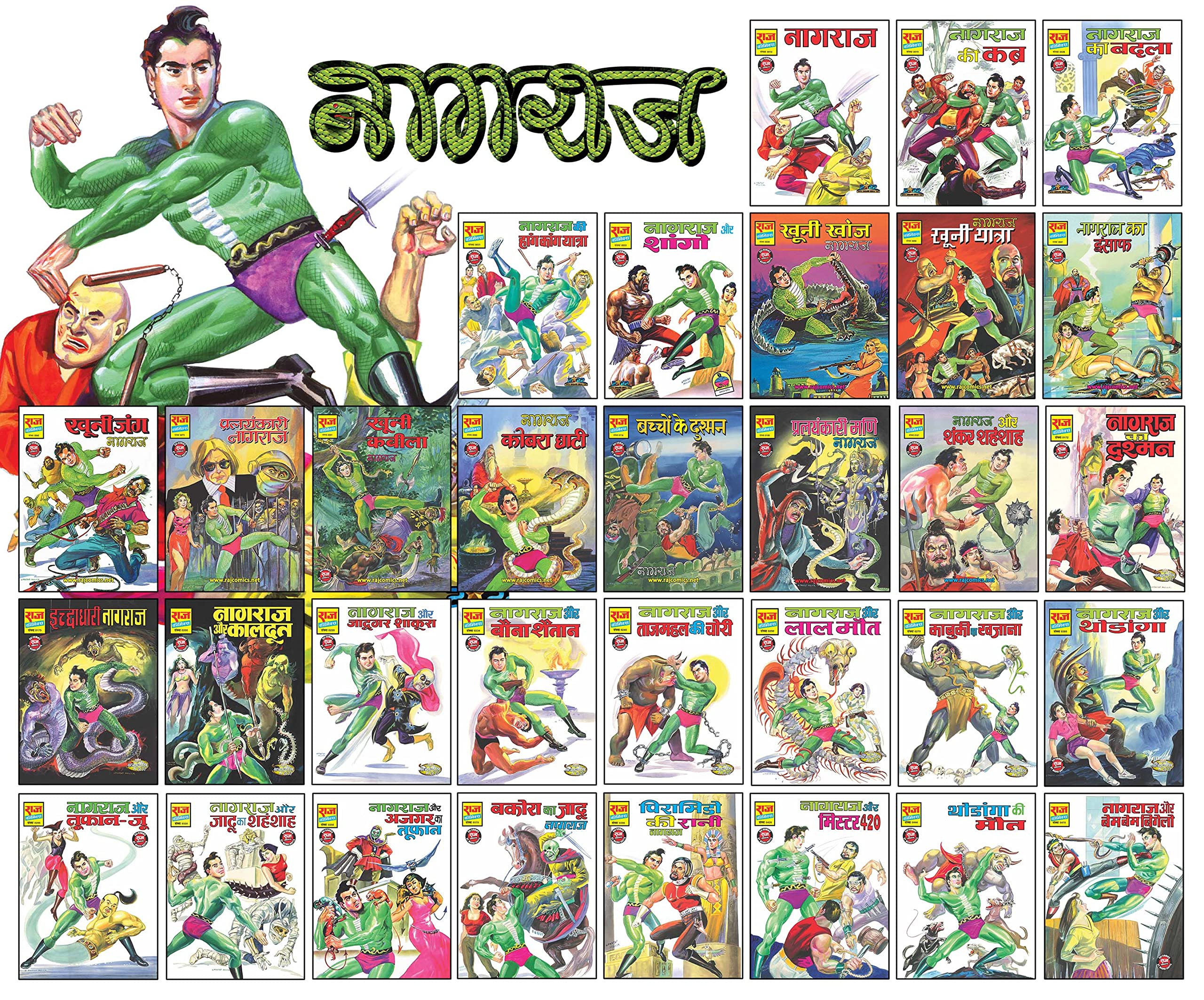 Nagraj Complete Set of All 32 General Comics | Raj Comics: Home of ...